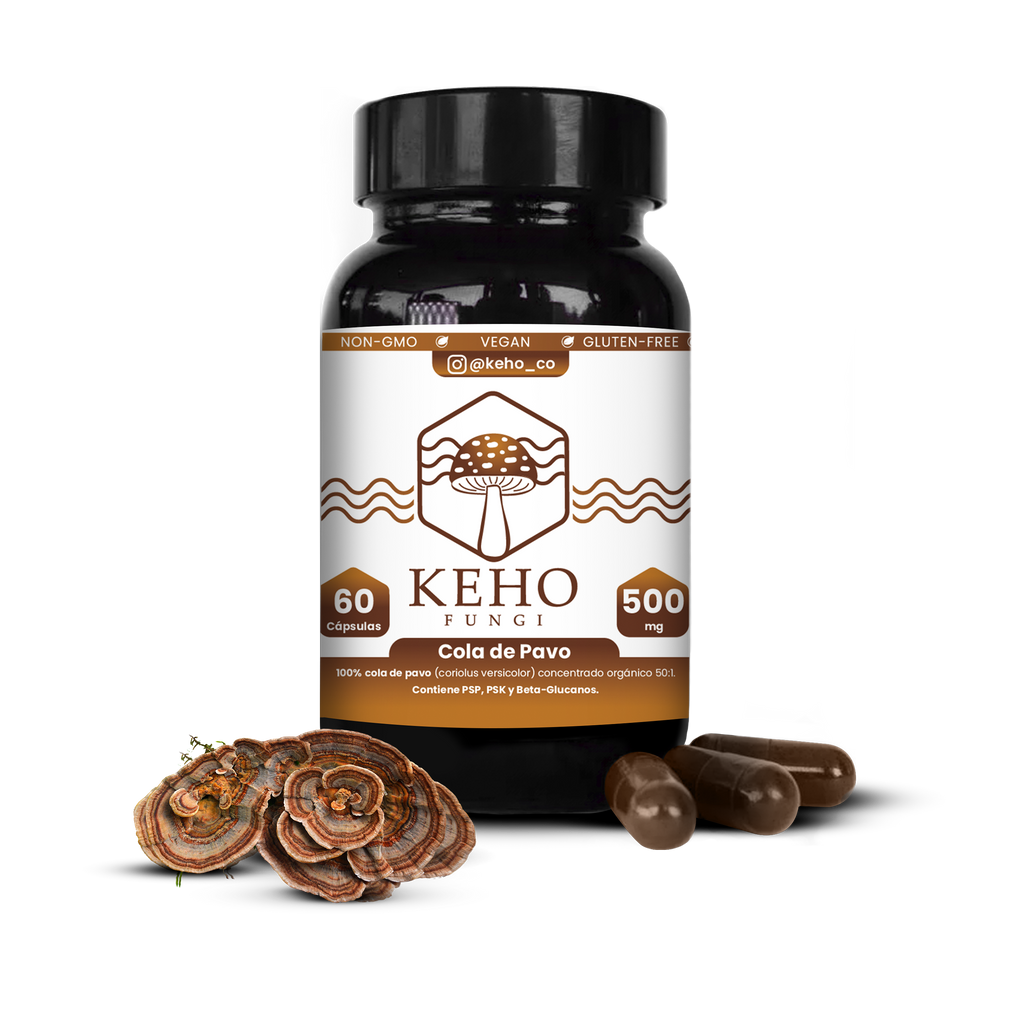 Cola de Pavo Concentrado en Cápsulas – Keho - Salud Holistica - Fungis ...