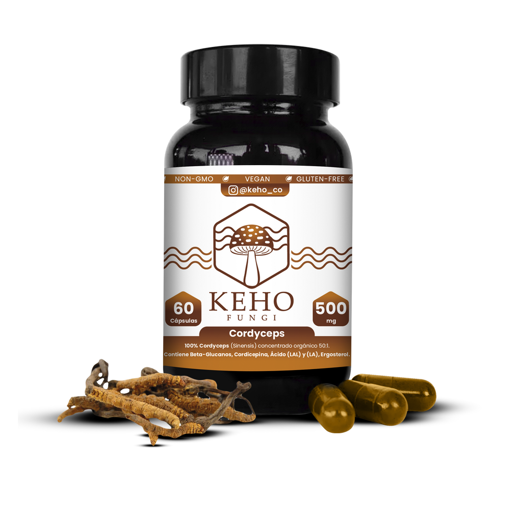 Cordyceps Sinensis Doble Extracto Seco 50:1 en Cápsulas – Keho - Salud ...